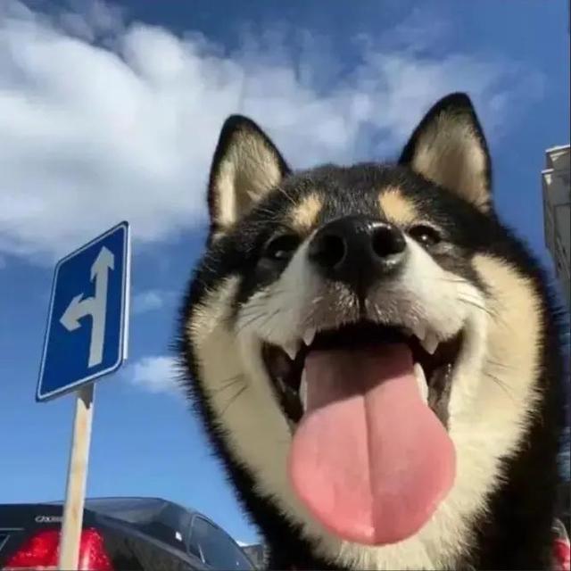 Feishu Open Platform